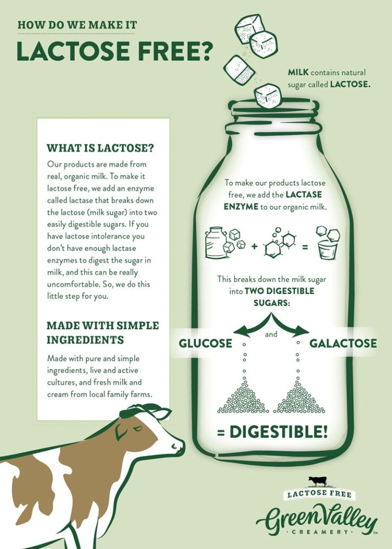 How do we make our products lactose free? | Green Valley Lactose Free