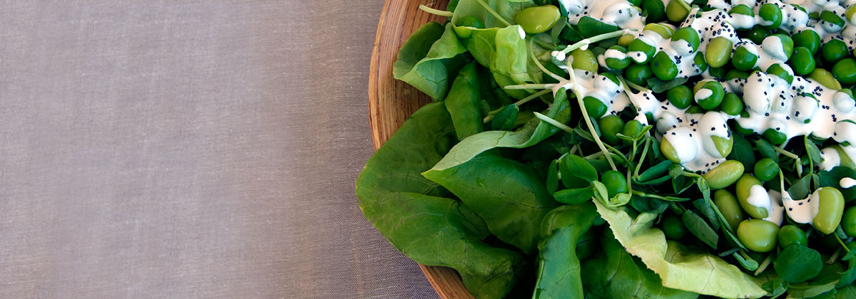 Fava Bean Salad with Poppy Seed Kefir Dressing | Green Valley Lactose Free
